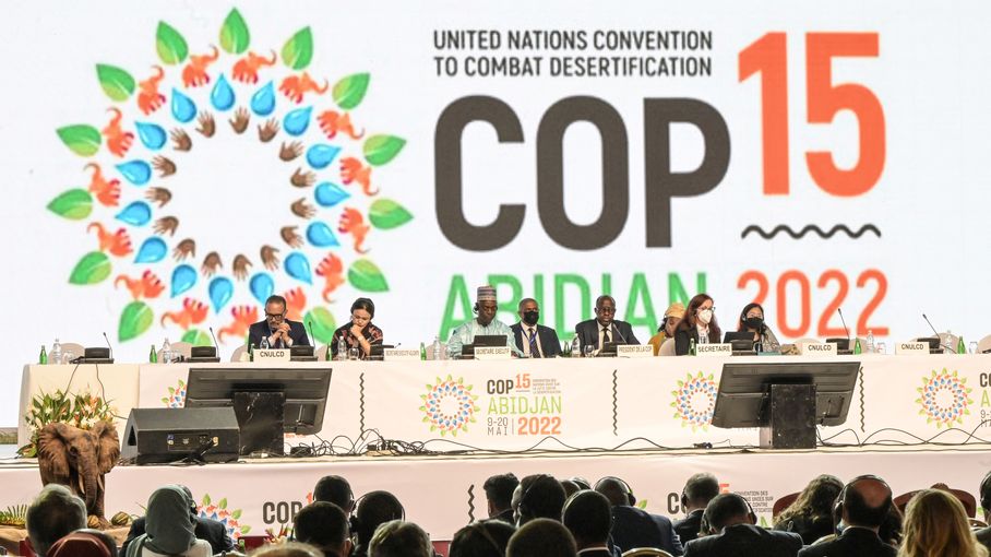 COP27, COP15 : pourquoi toutes ces COP et d'où viennent les numéros des ...